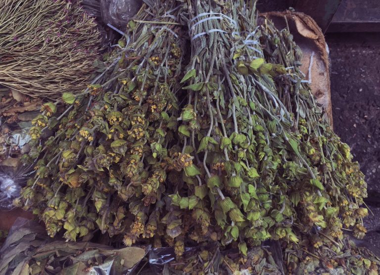 Caj Mali- what is it and why should you drink it? - The Balkanista